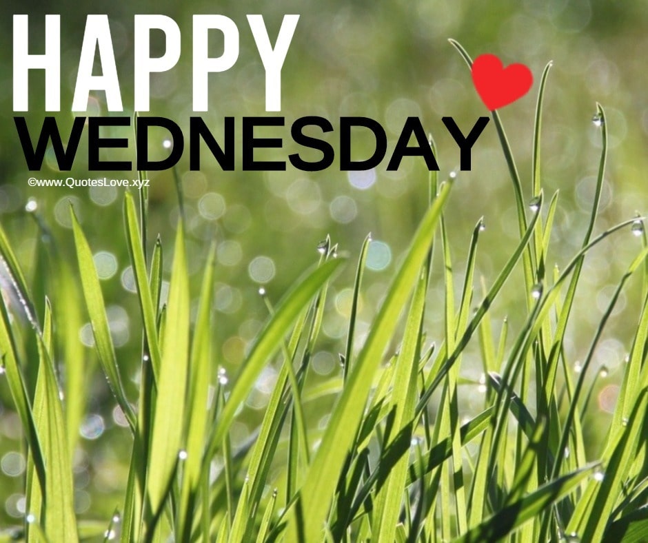 [Top] 60 Motivational & Inspirational Wednesday Morning Quotes & Images ...