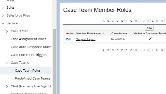 Case Teams In Salesforce Infallibletechie