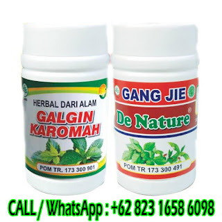 Senerai Pokok Geli Ubat Buah Pinggang Paling Mujarab Di Farmasi Malaysia