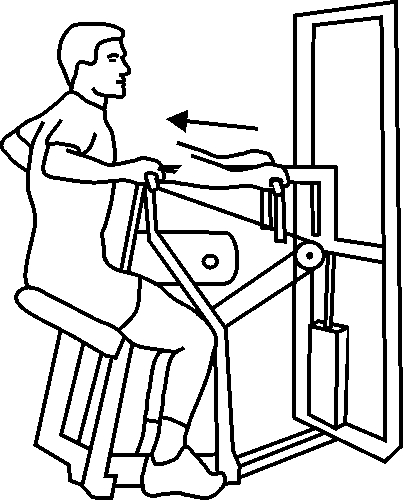 The fitness huB: middle back exercise which usually we avoid