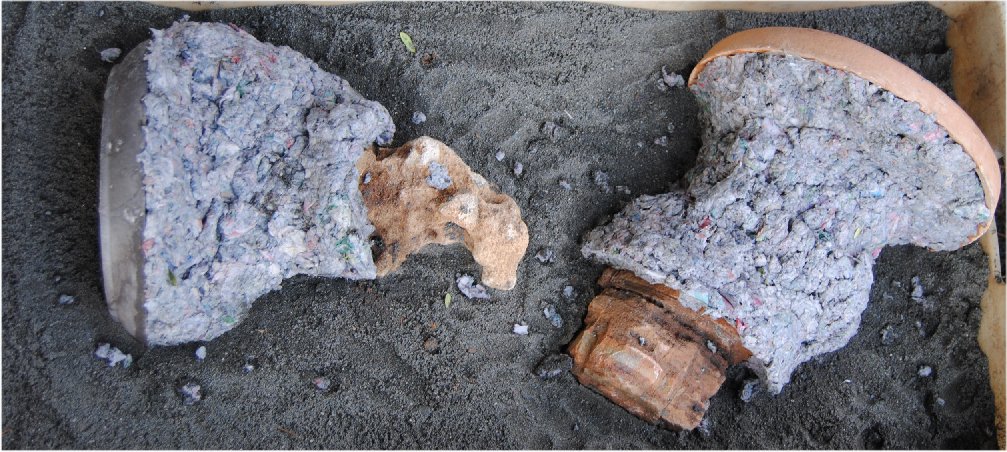 LENNARD'S BONSAI BEGINNINGS.: Experimental root over rock/root clinging ...