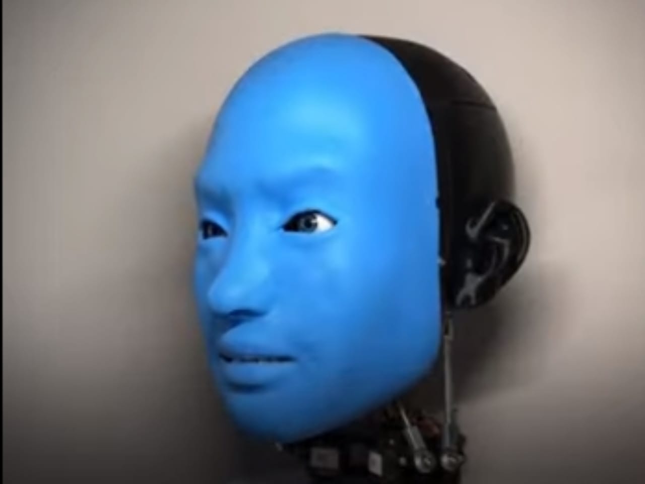 Eva, el robot inteligente que aprende a responder a las expresiones ...