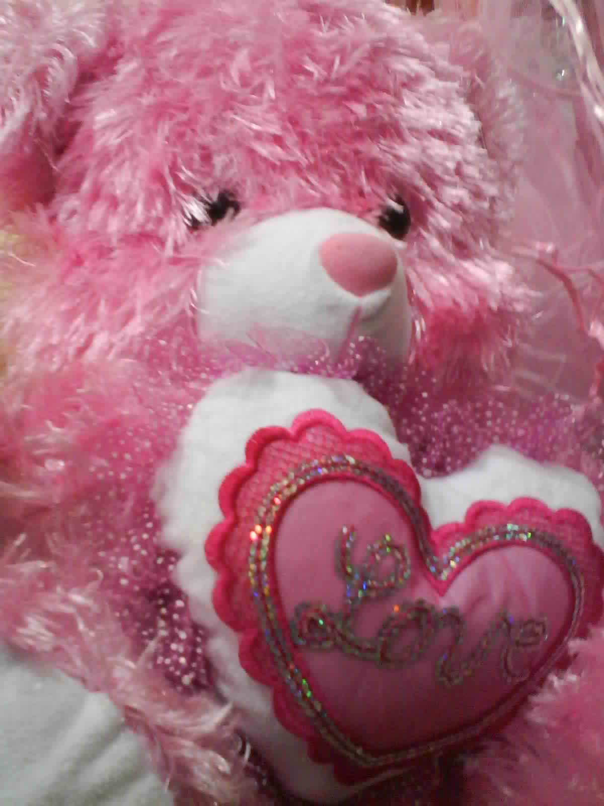 W3Lc0m3 T0 MY Bl0g :> Hope U Enjoy It :): Pink Teddy Bear