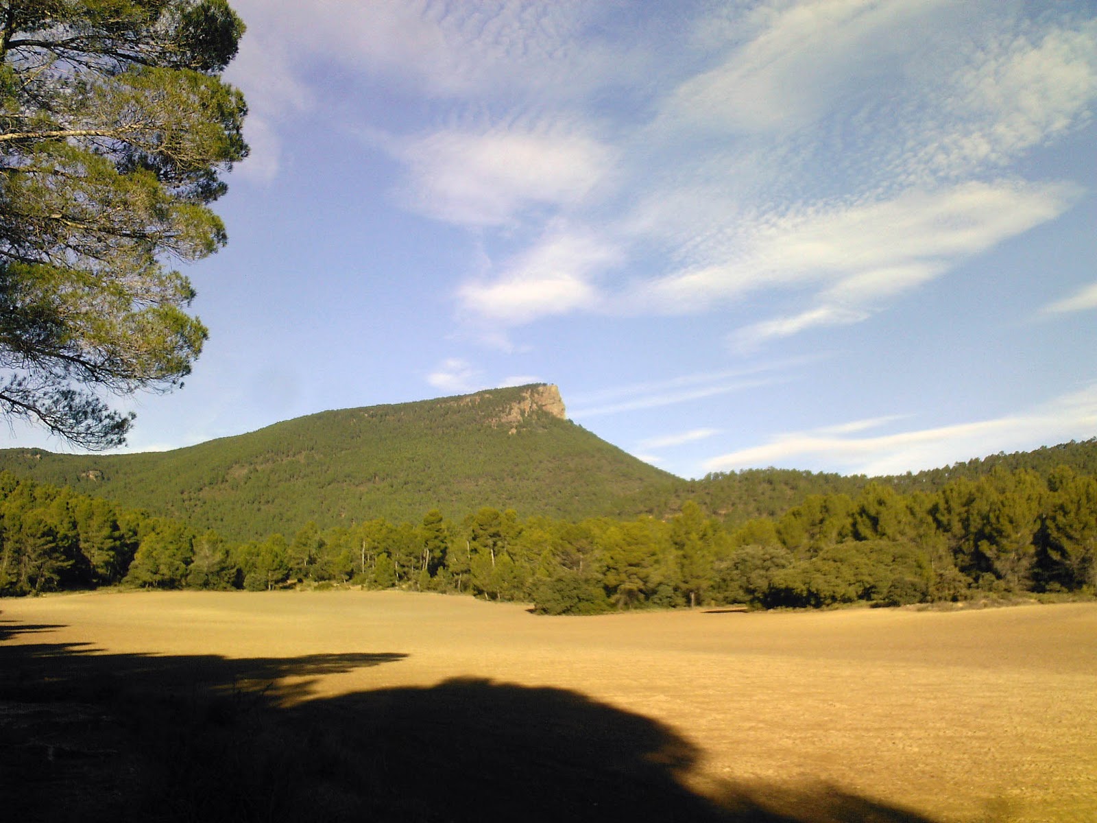 BTTrackManía: Las Cuevas-Aliaguilla-Ranera-Sinarcas-56 km-700m-desnv