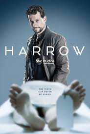 Word Magic: All About Books: Series review: Why You Should Watch Harrow