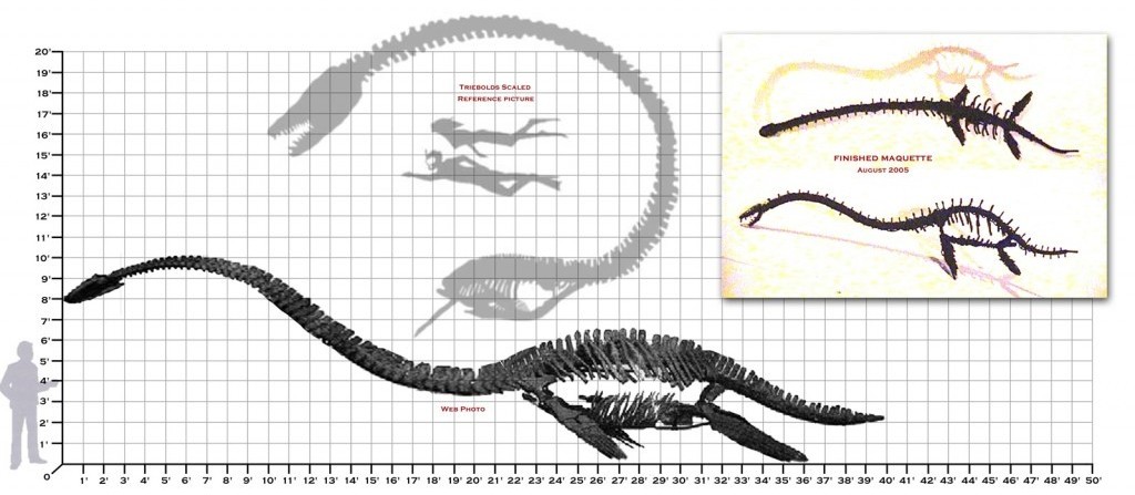 Viki y su colección de dinosaurios: Elasmosaurus Safari Carnagie Museum ...