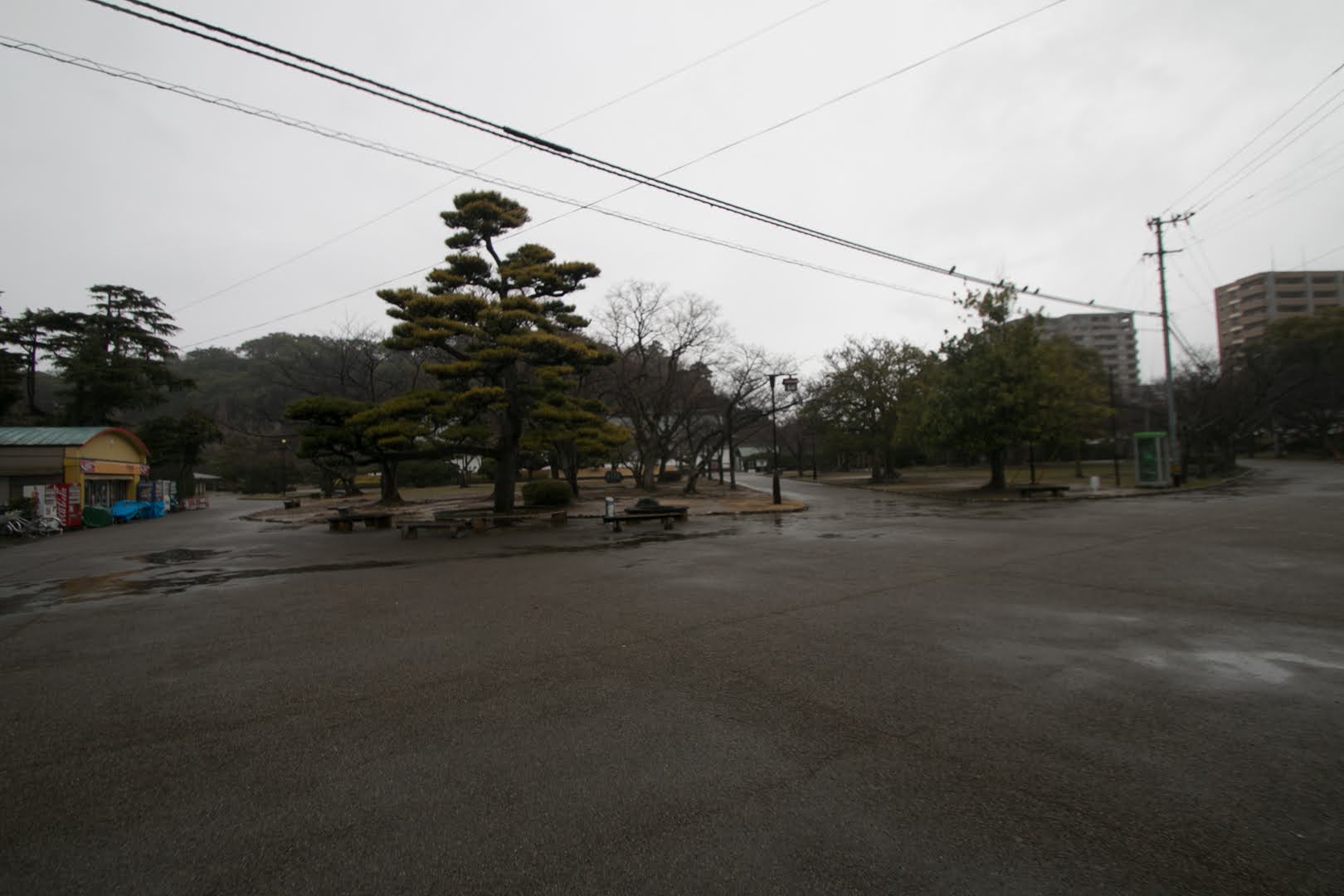 Tokushima Castle -Survived descendant of Hideyoshi's oldest confident ...