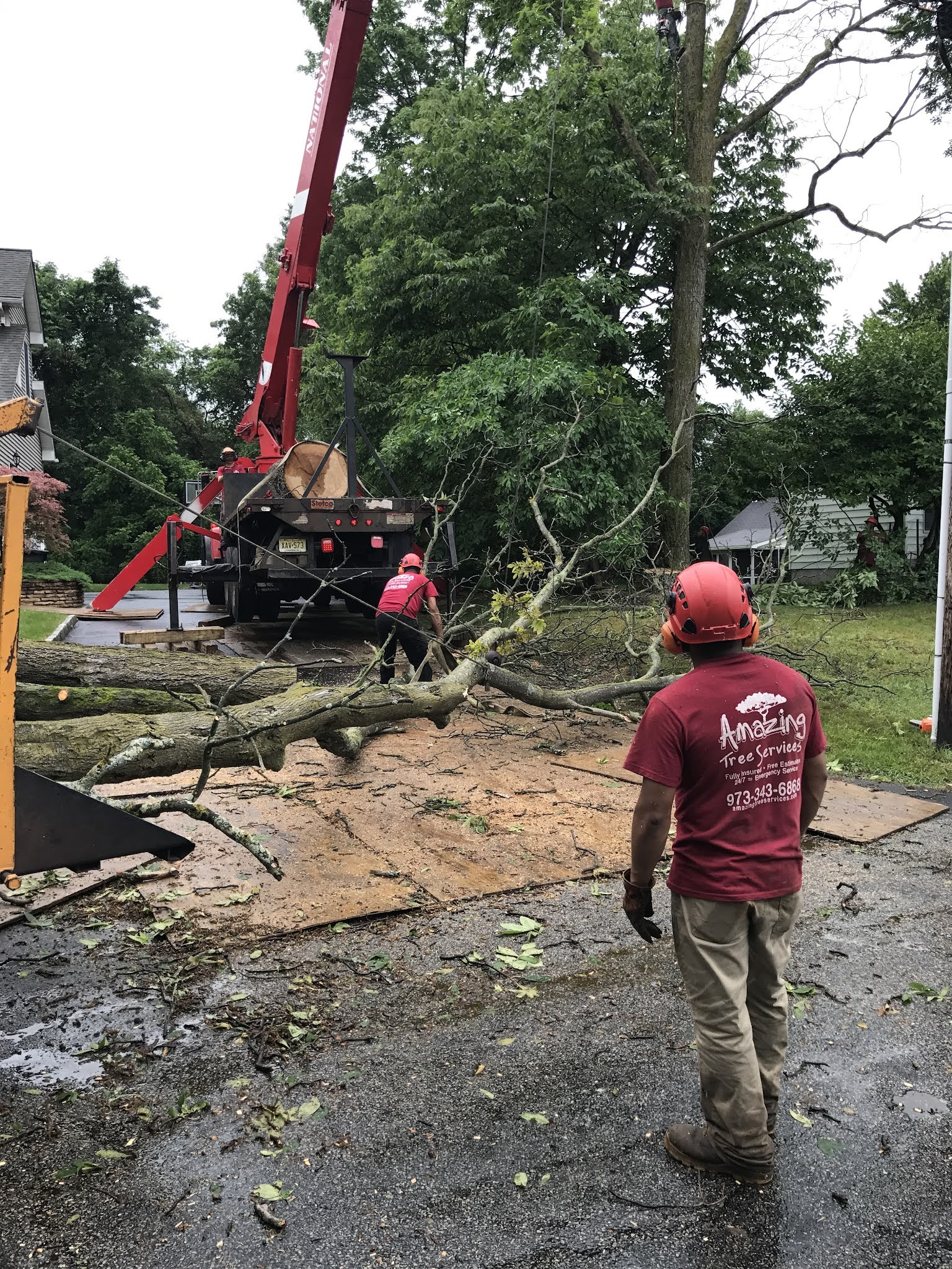 AmazingTreeServiceNJ