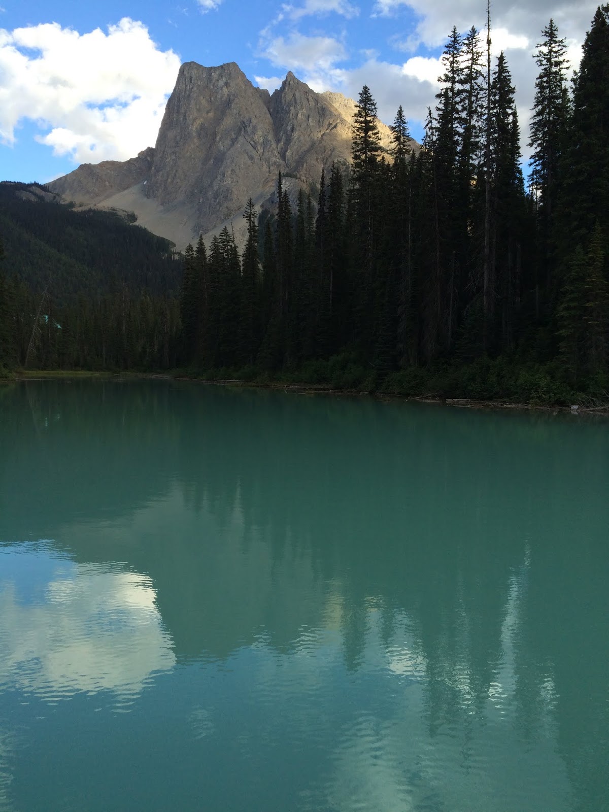 The Helpful Art Teacher: Photography 101: types of camera shots