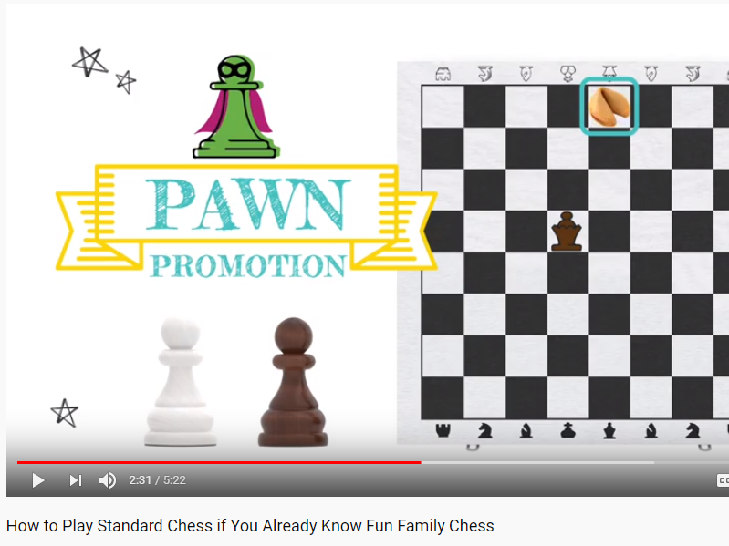 troutwife: Fun Family Chess by Brain Blox -- my REVIEW!