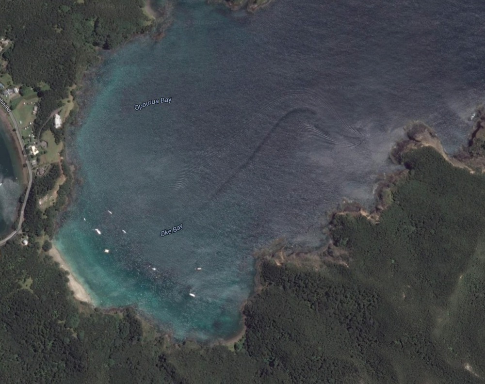 5 Mysterious Creatures Caught On Google Maps