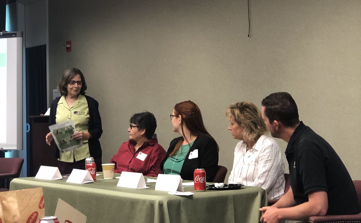 FLATE Focus: Sustainability Superheroes Features Industry Panel ...