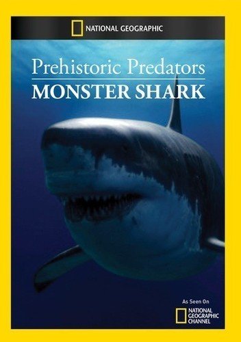 Cretaceous Kingdom: Prehistoric Predators: Megalodon