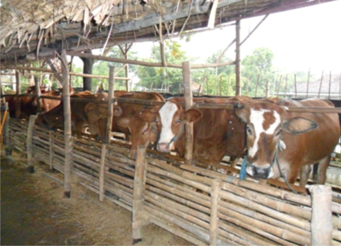 Potensi Daerah ~ KELURAHAN PALUR