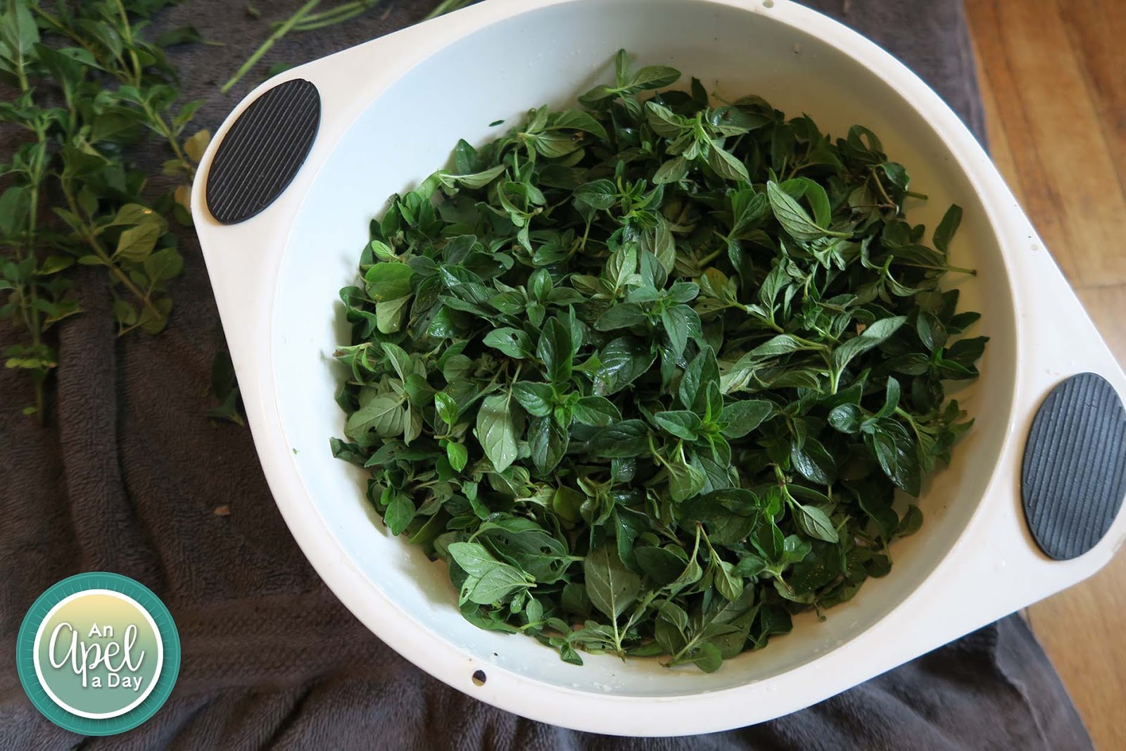An Apel a Day: Drying Oregano and Making #Oregano Oil
