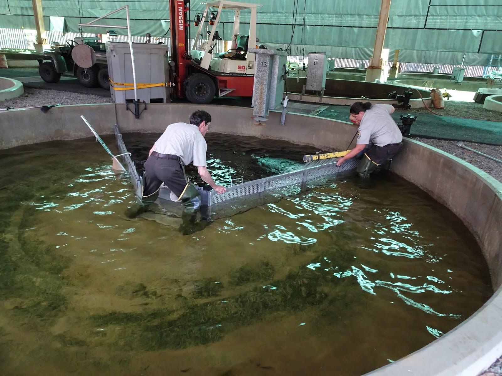 Mark & Teri's Travels: Splitting Fish - Not As Gross As It Sounds