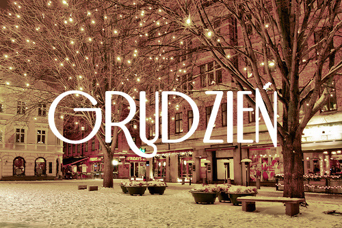 Miasto Książek: Podsumowanie i Book Haul ||Grudzień ♥