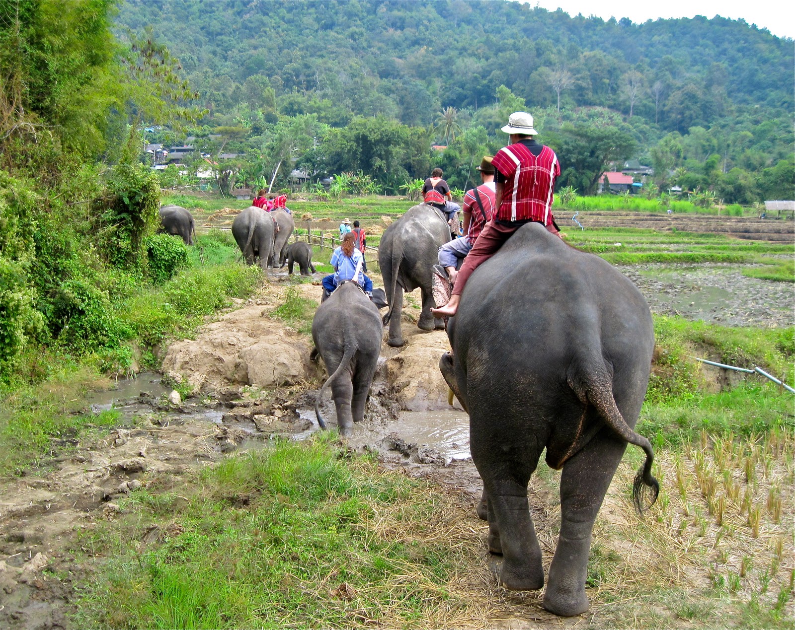 A Breath of Fresh Air: Riding lessons.....Part II