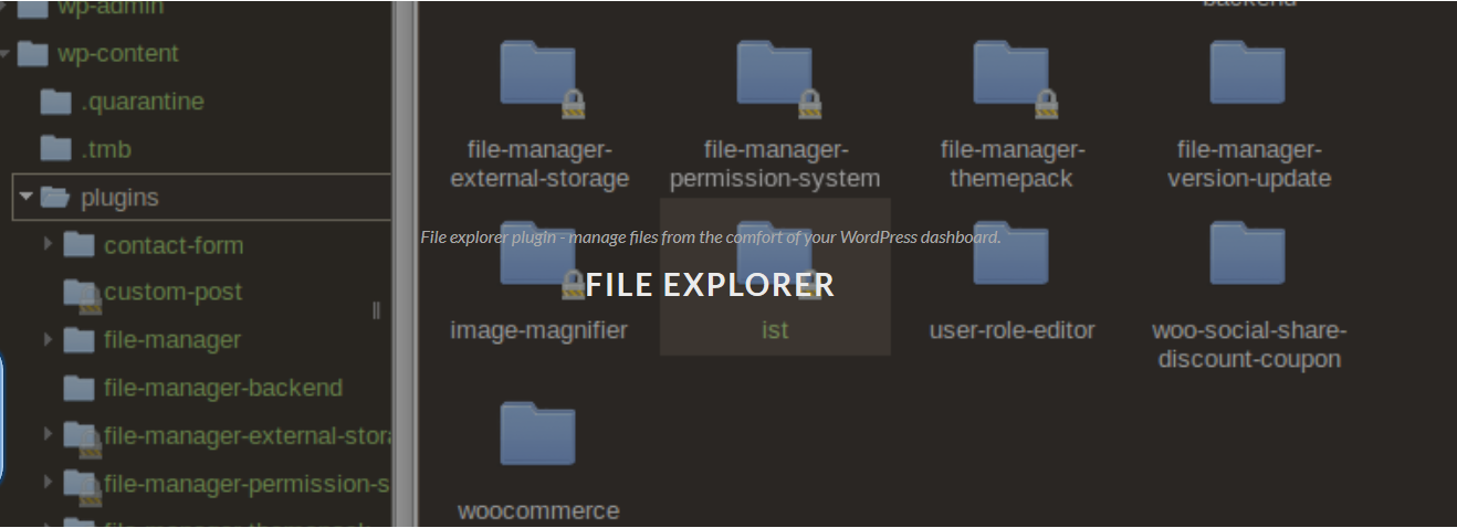 Wordpress file explorer plugin