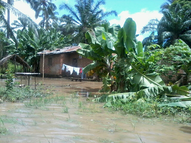TAZAMA PICHA ZA MAFURIKO IFAKARA,MOROGORO - Madibadc