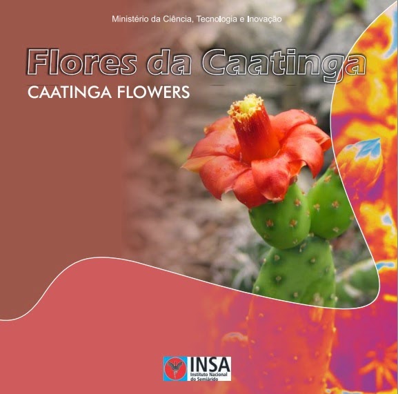 Biblioteca do Saber: Flores da Caatinga
