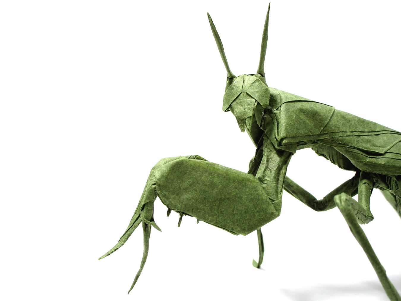 Mariano-Mi mundo el Origami: Boxer Mantis