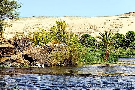 Fieggentrio: De Nijl.