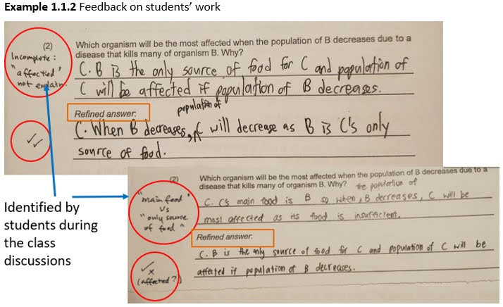 Assessment for All Learners: Big Ideas of Effective Feedback