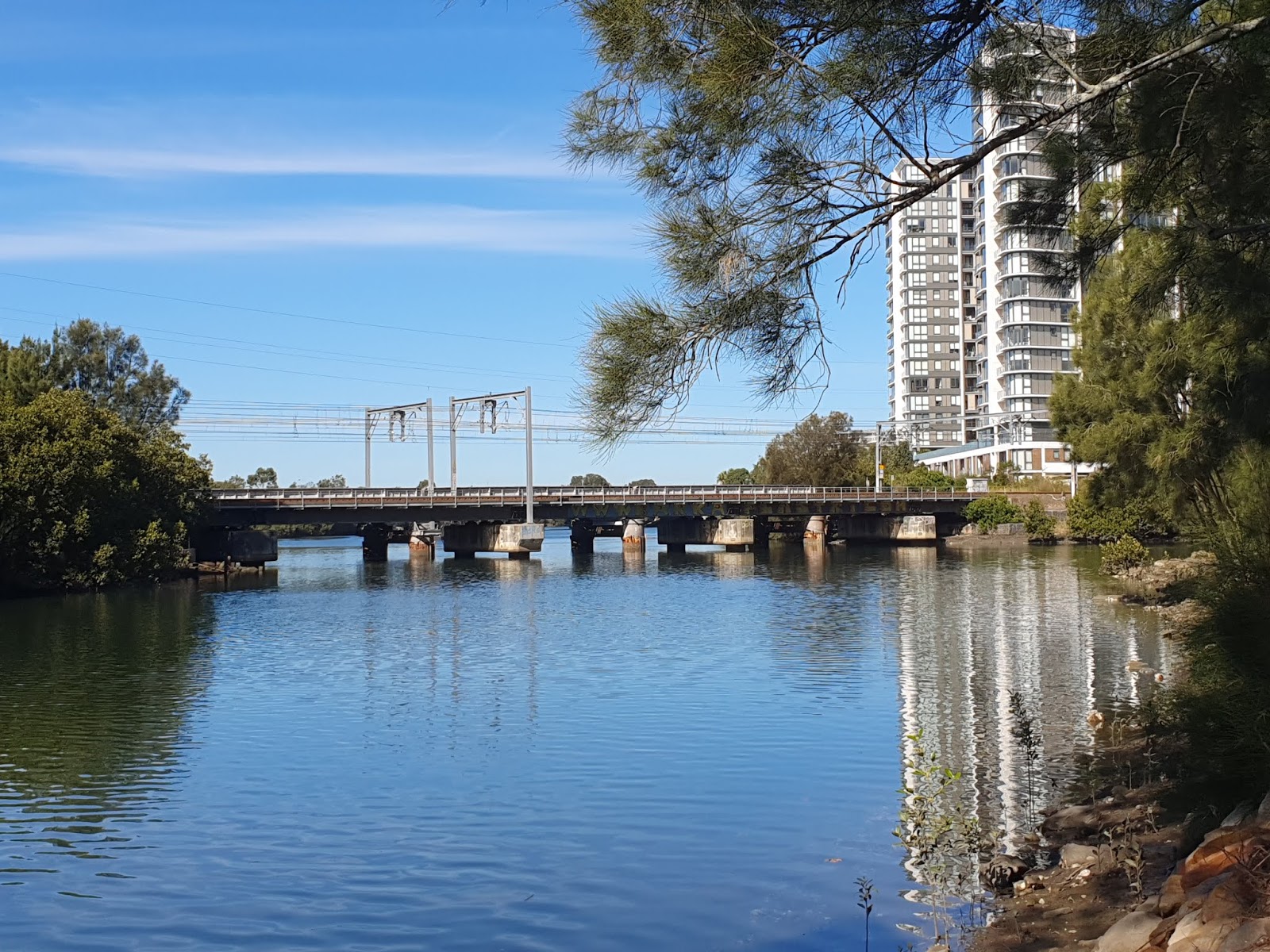 Sydney - City and Suburbs: Wolli Creek, Cooks River, railway bridge