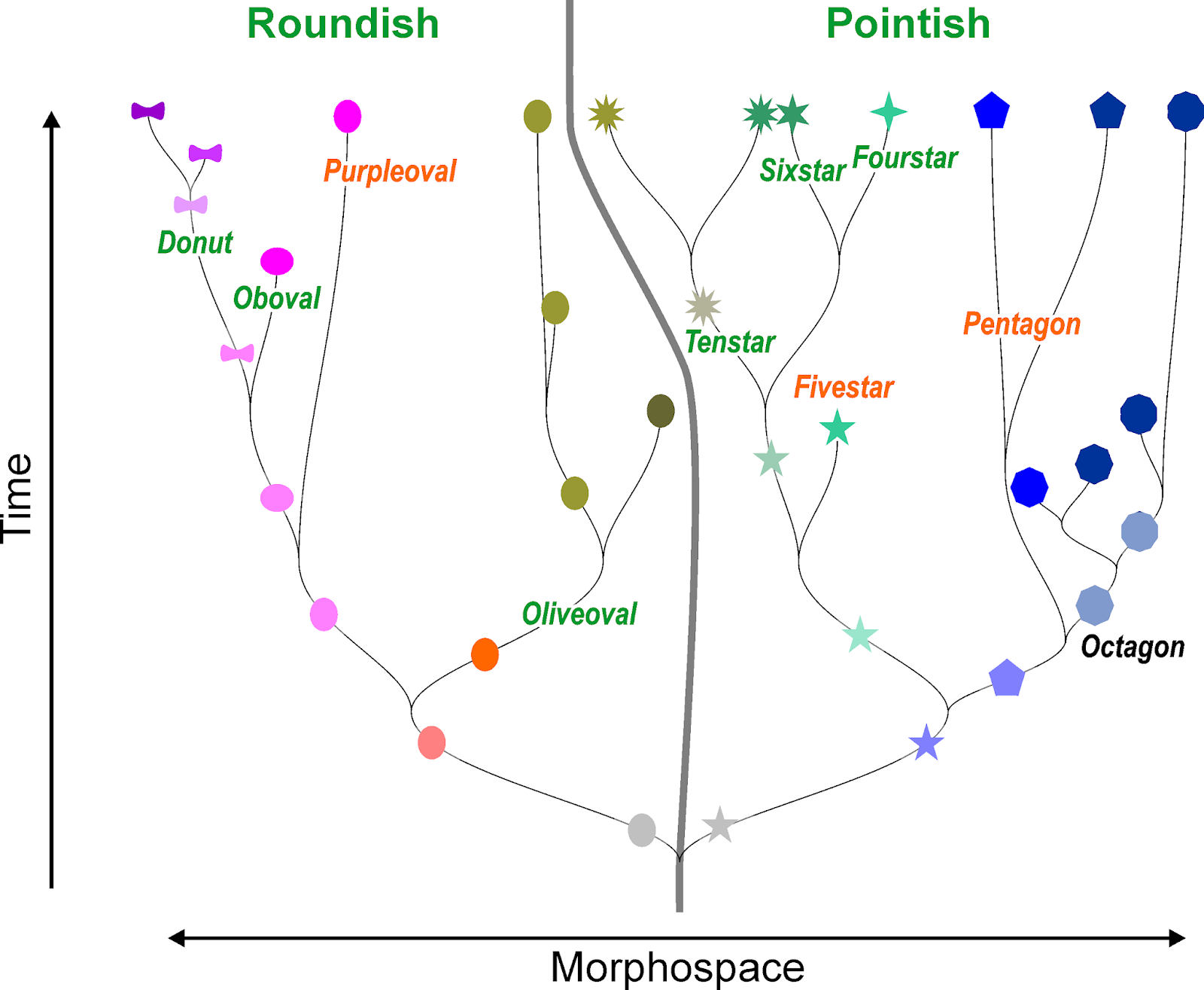 The Genealogical World of Phylogenetic Networks: Has homoiology been ...
