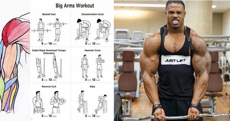 Supersets For Bulging Biceps Sleeve Busting Arms Bodydulding supersets-for-bulging-biceps-sleeve-busting-arms-bodydulding