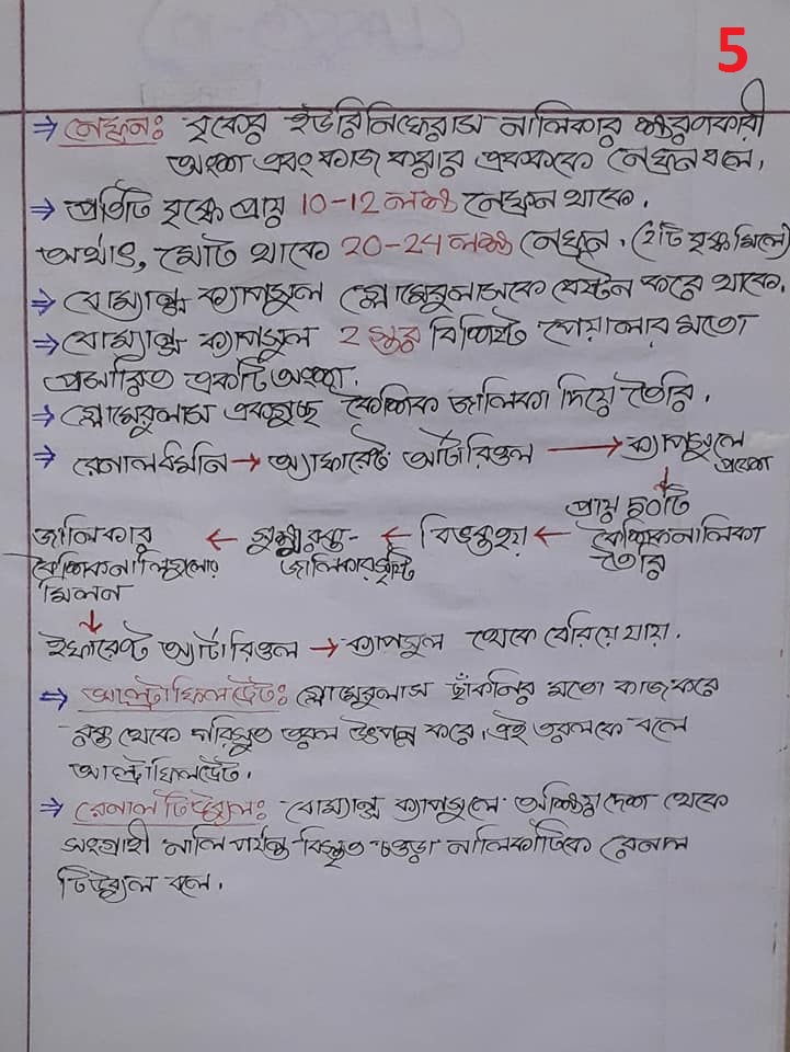 SSC Biology Chapter 8 Hand Note