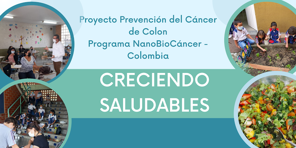 Proyecto Nanobiocáncer: Creciendo Saludables: Alimentación y Nutrición
