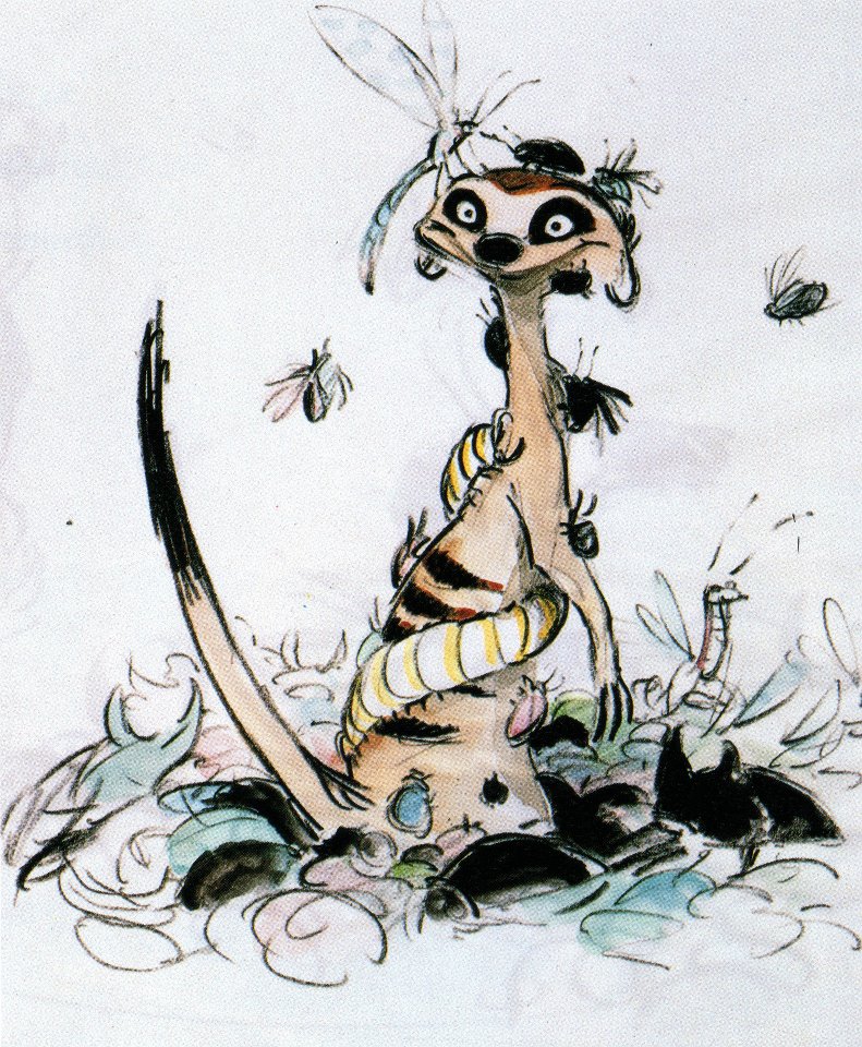 Living Lines Library: The Lion King (1994) - Character: Timon