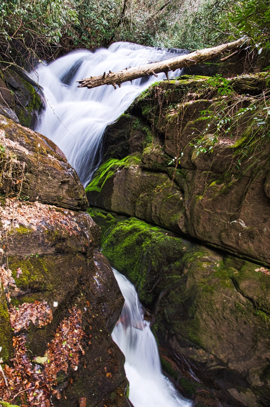 Another visit to Rocky Bottom Gorge Falls