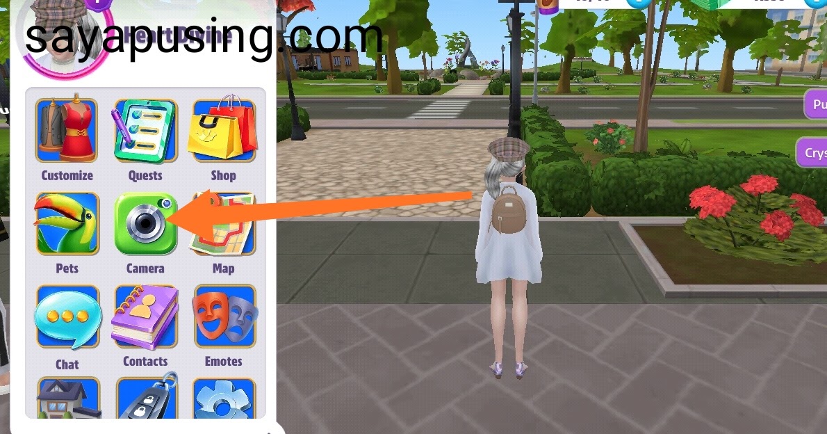 Virtual Sim Story Dream Life : How to take pictures Burger / take ...