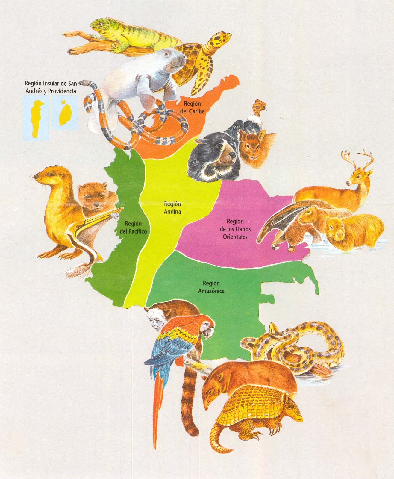 Fauna Colombiana - TU TAREA