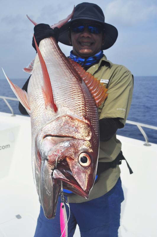 Tackle Source: GT POPPING INDIAN STYLE!