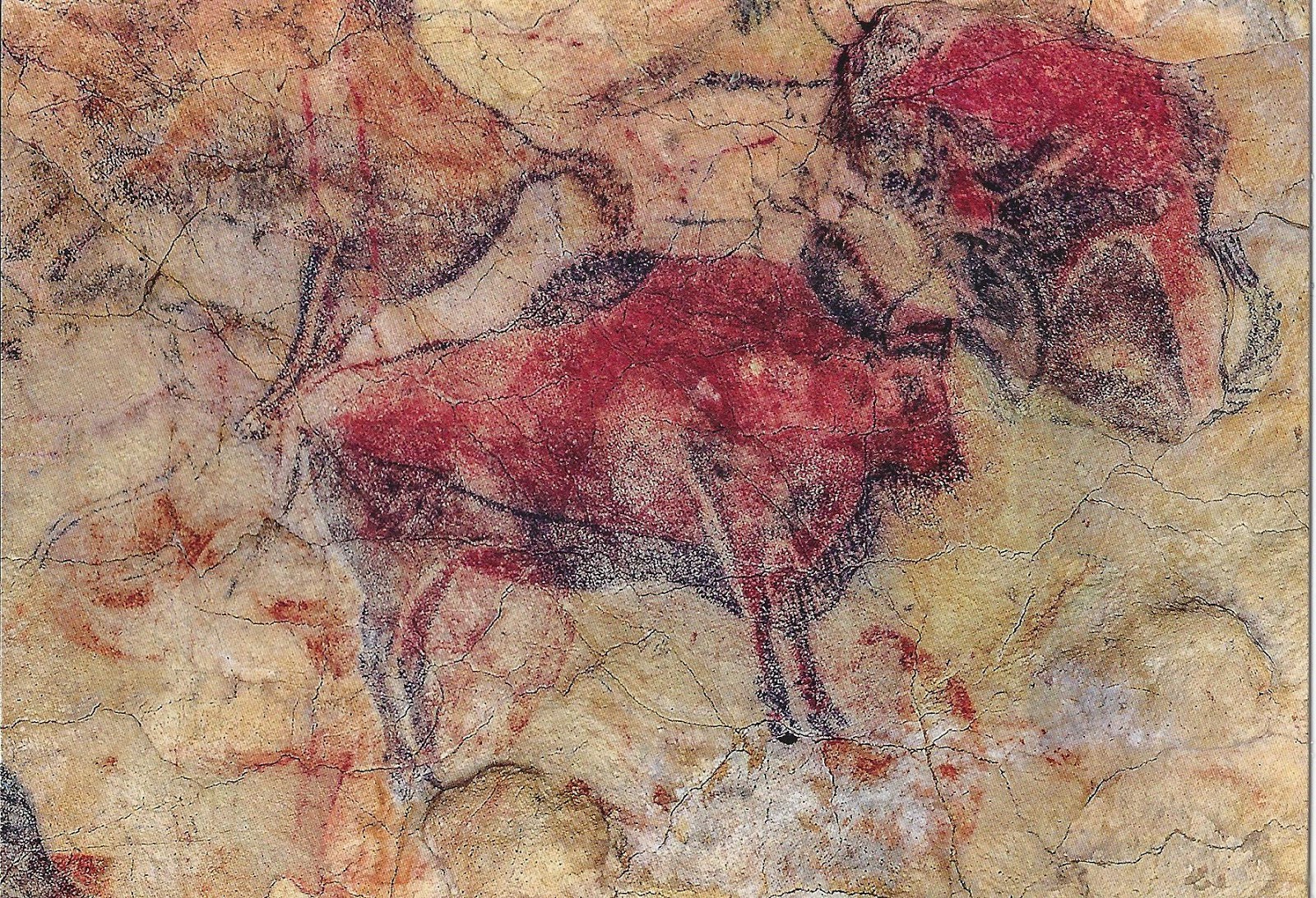 A Journey of Postcards: The Cave of Altamira | Spain