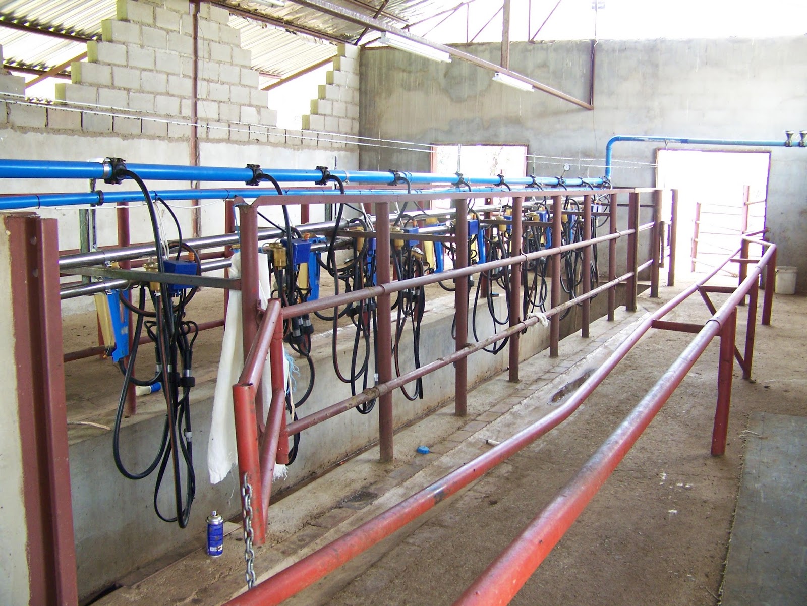 A Pretty Tourist: Meet the people of Pitsane, Botswana