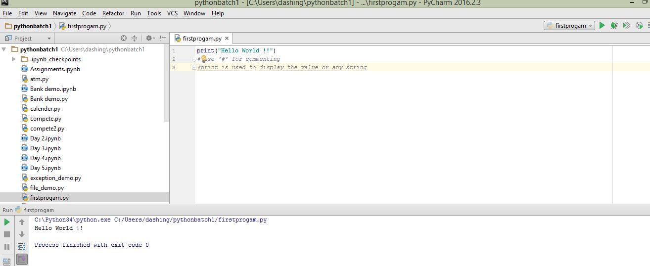 Write Your First Python Program