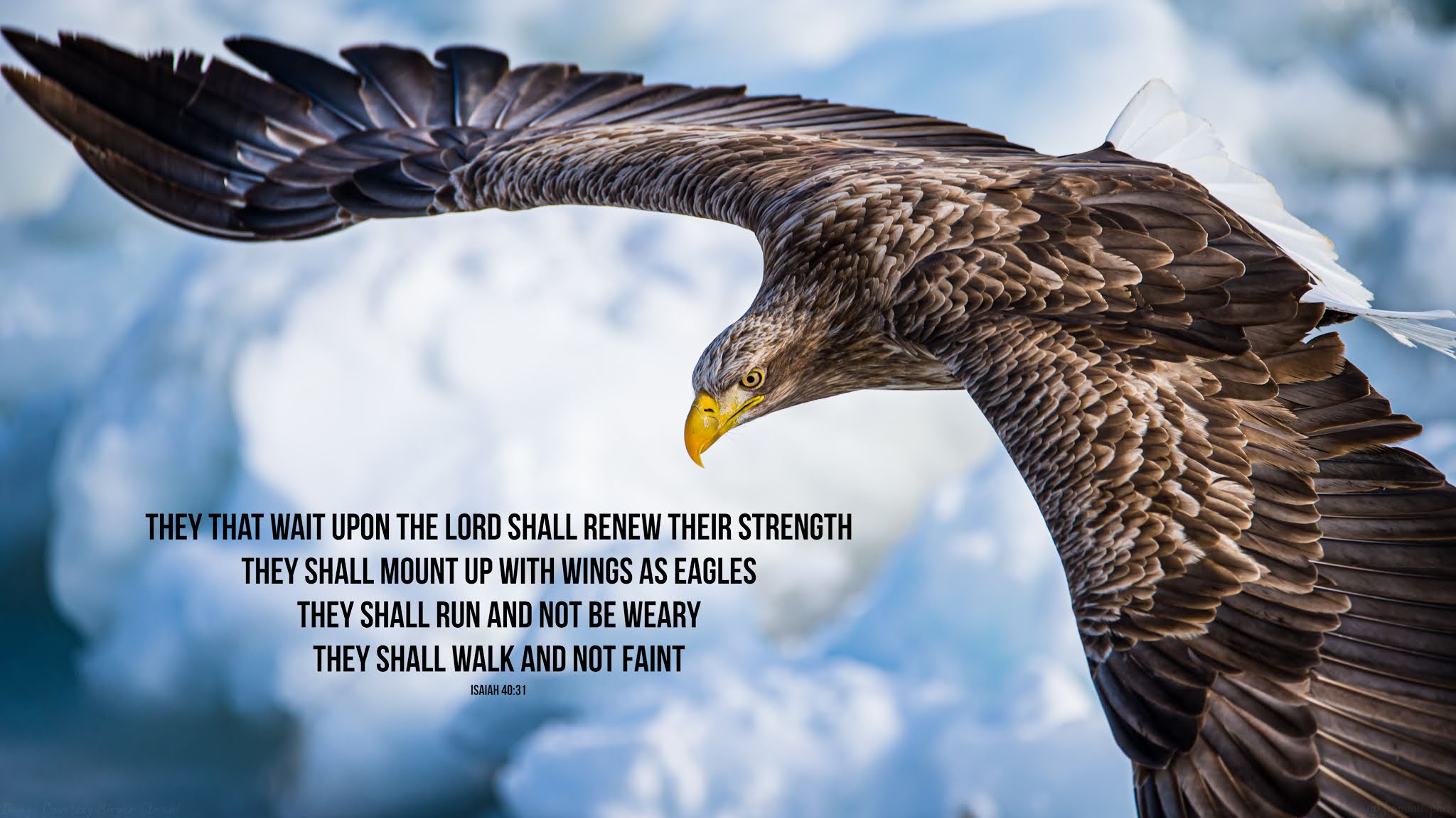 Isaiah 40 31 isaiah-40-31