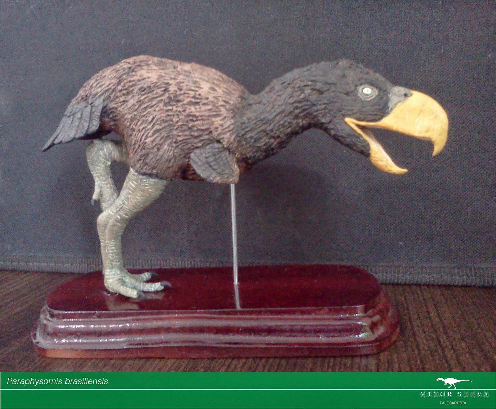 Vitor Silva - Paleoartista: Paraphysornis - Paleo Brasil