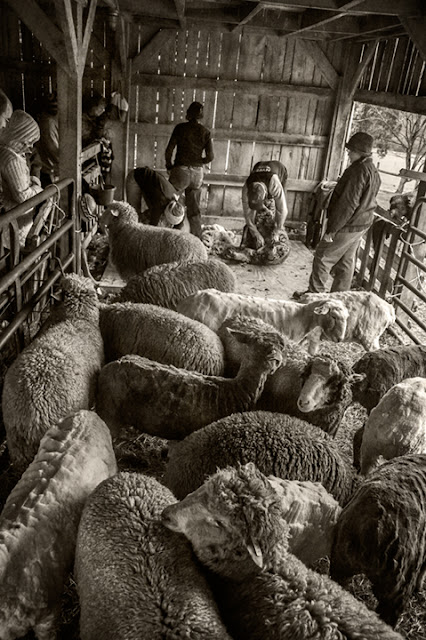 Dan Routh Photography: February 2013