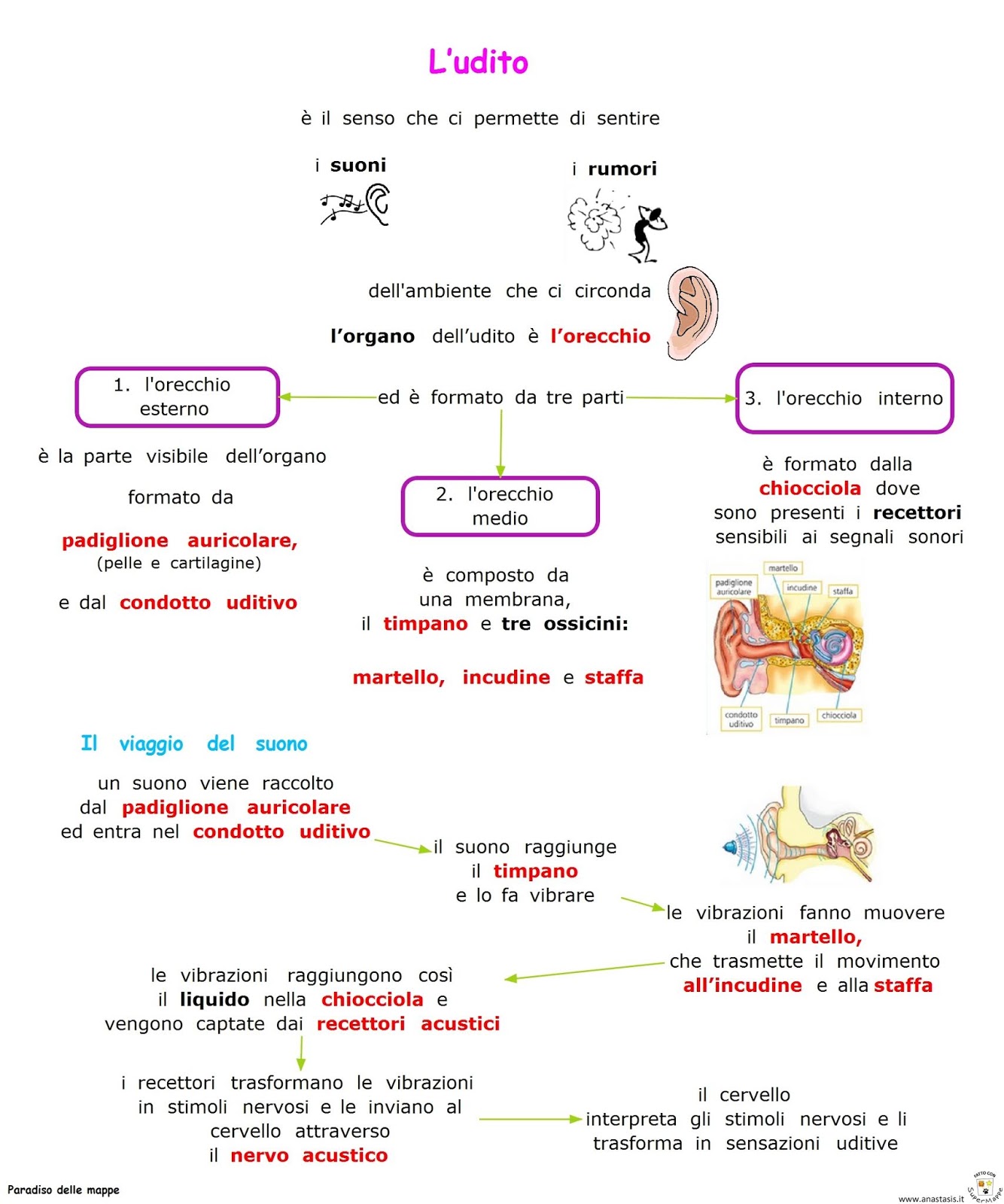 Paradiso delle mappe: L'udito