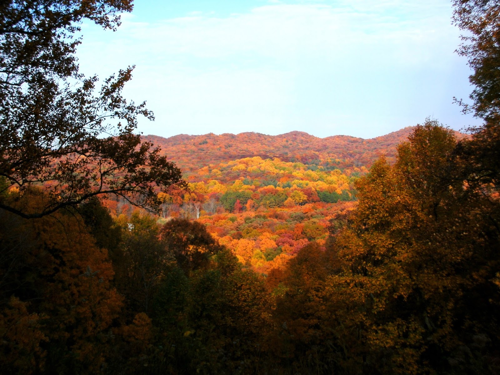 Jackson-Washington State Forest - Brownstown, Indiana