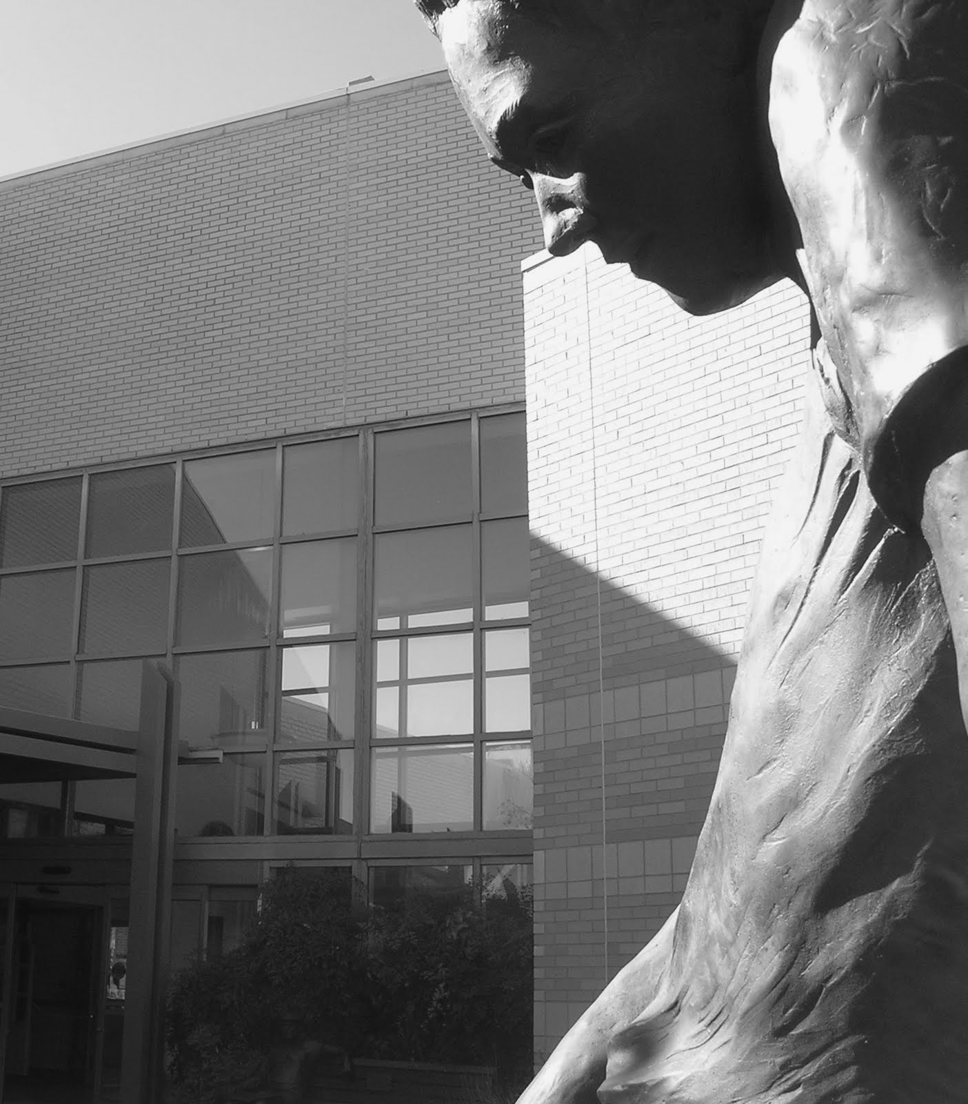 Euless Library Days | Ione K. Birdman