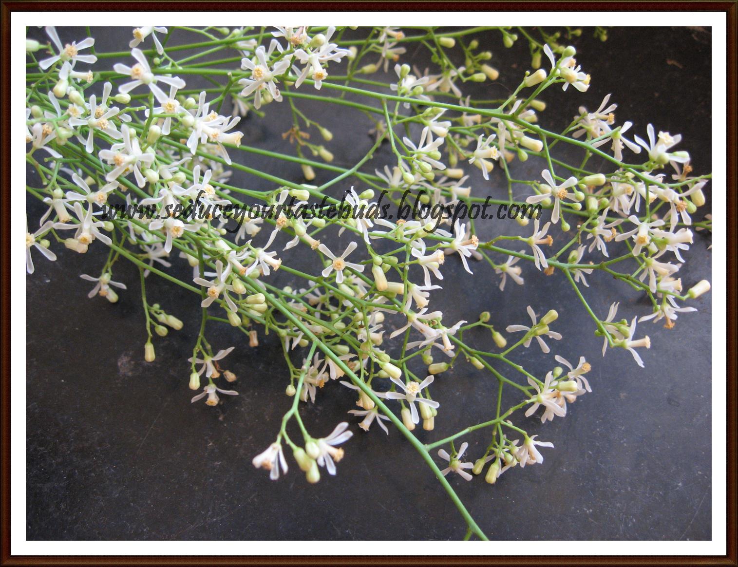 Bevu Bella - Seduce Your Tastebuds...