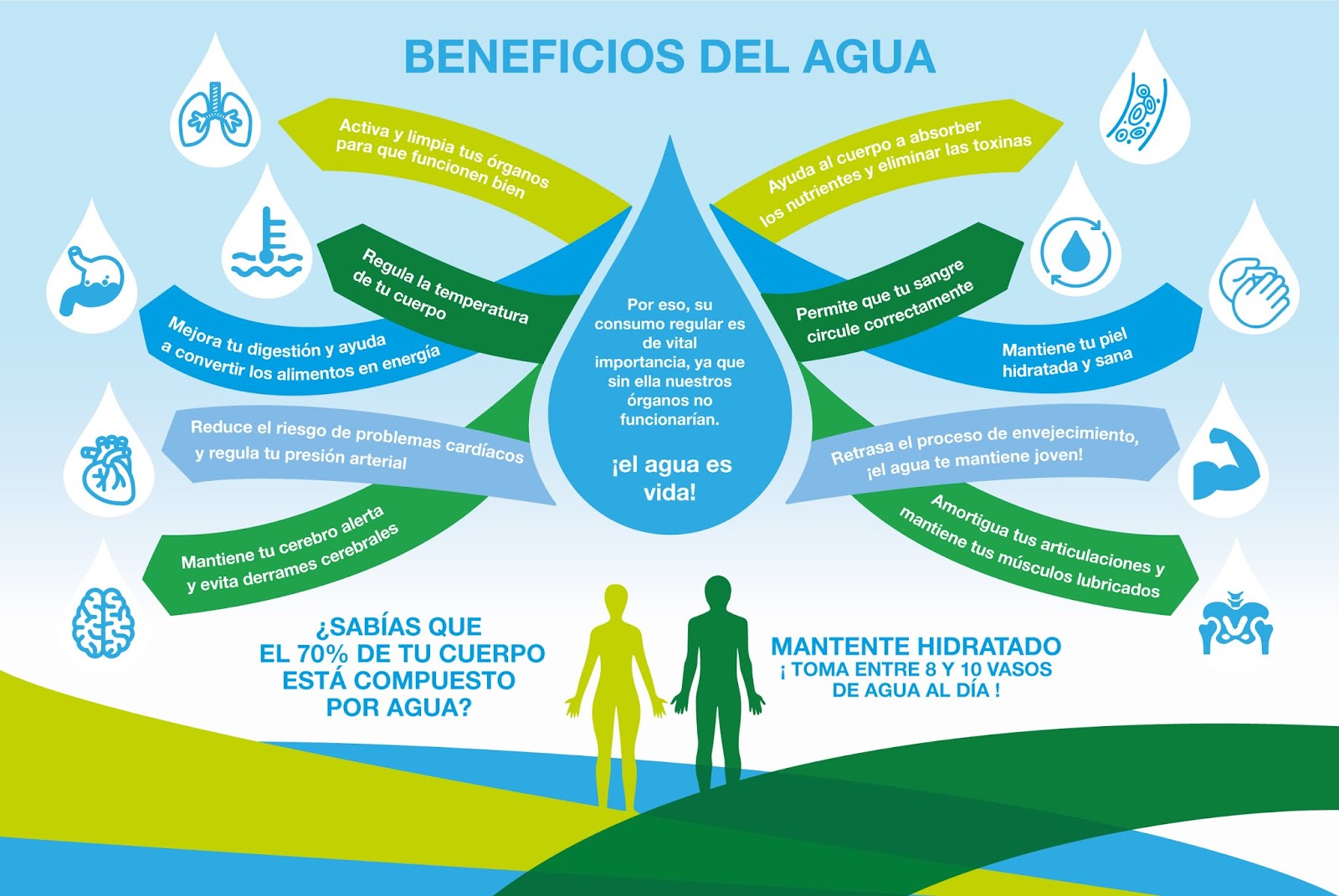 Día del agua: La importancia del consumo de agua en los humanos