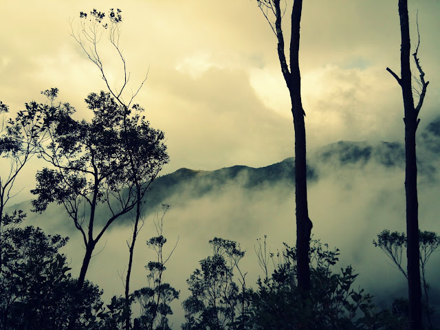 ලින්කන්ගෙ වෙබ් පිටුව: ඔහිය සිට යකාගේ පඩිපෙල පසුකර බඹරකන්ද දියඇල්ලට ...